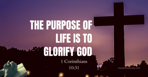 The Chief End of Man is to Glorify God