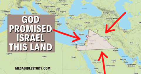 Genesis 15 - Free Bible Study Classes, Free Bible Resources