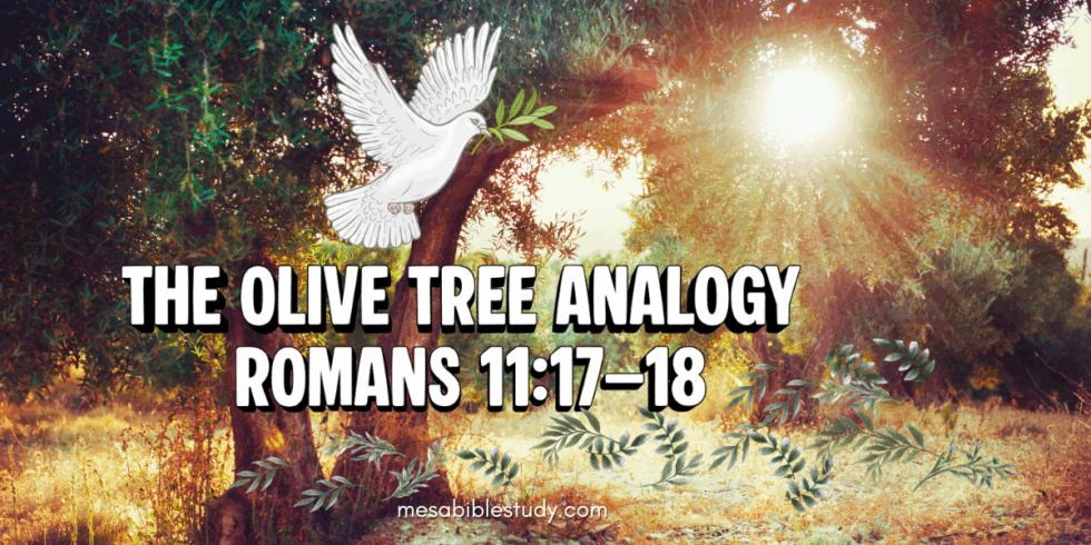 Israel and the Olive Tree Analogy (Romans 11:17–18)
