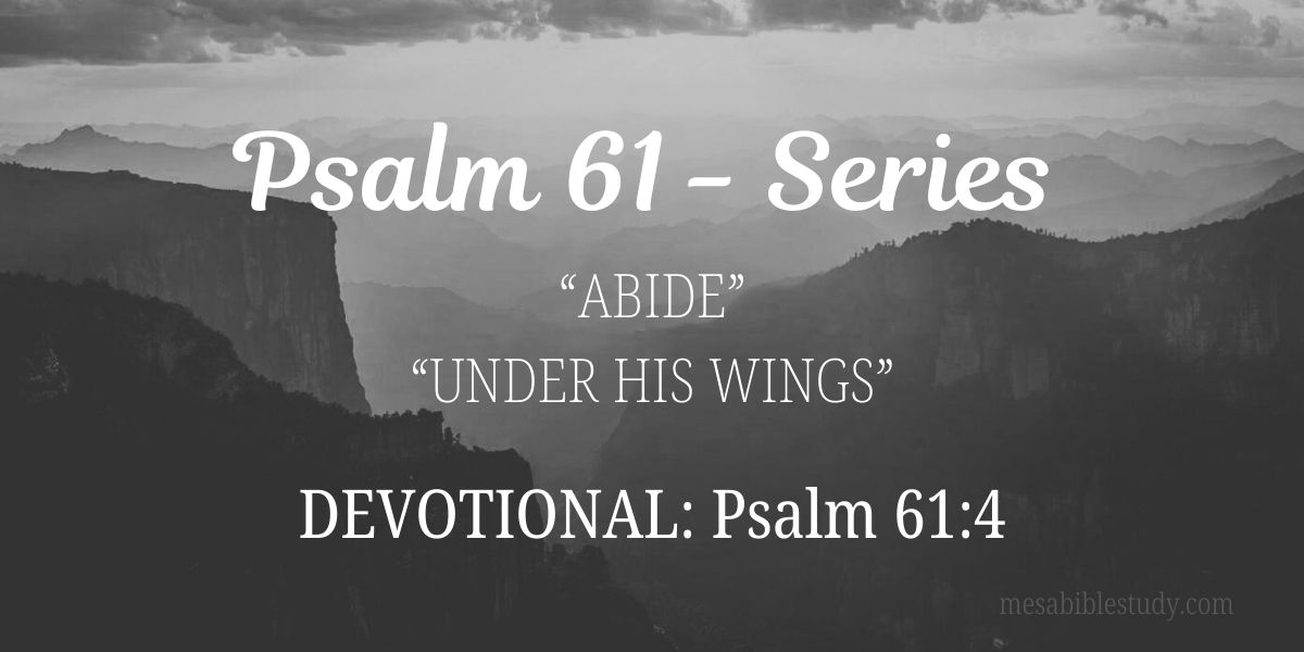 Psalm 61:4 — Under the Shelter of His Wings